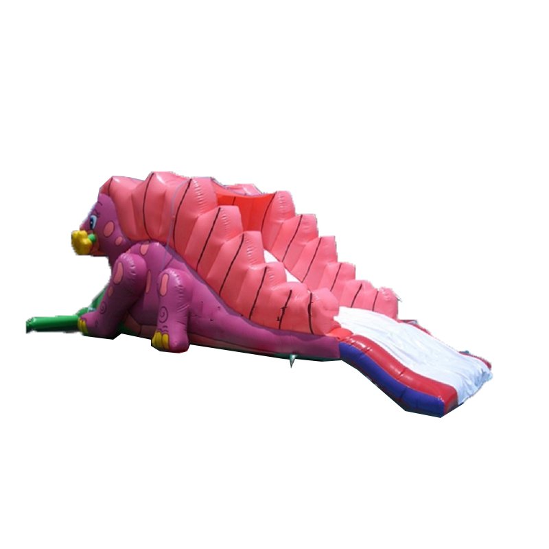 Fun game inflatable water slide for kids outdoor playground inflatable ...